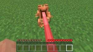 Sapo Minecraft: como encontrar, encantar e reproduzir? – Cibersistemas.pt